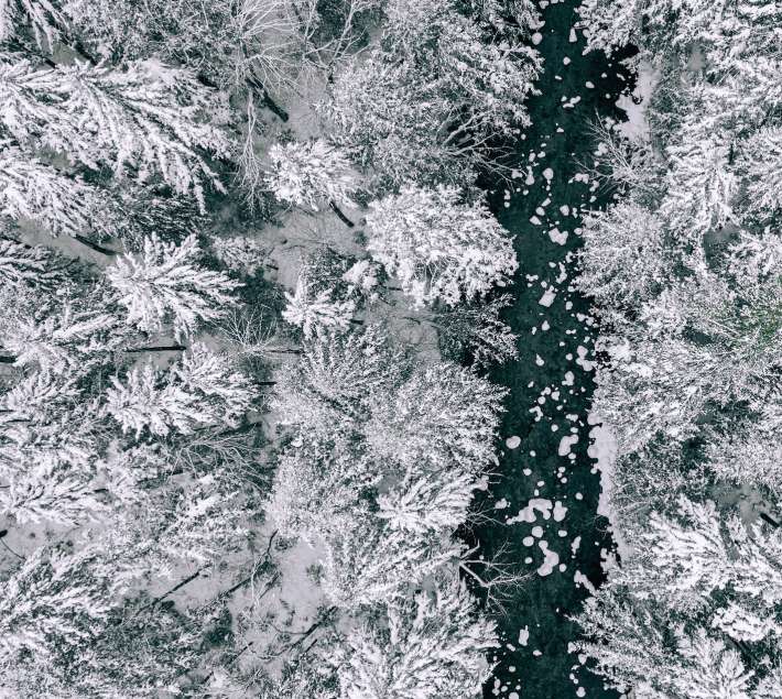 2025 trends and 2026 forecasts | Impact