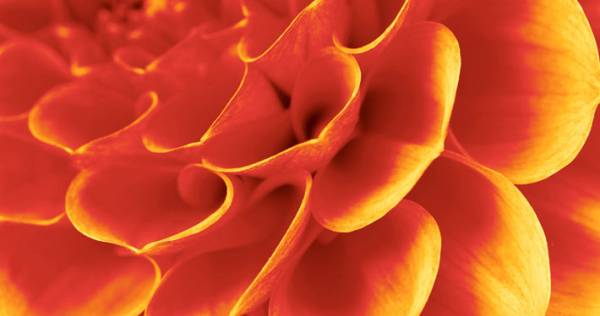 From work experience to work inspiration | Impact