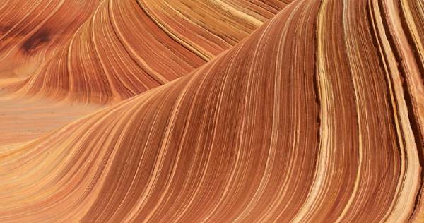 Interview with Simon Locke | Impact