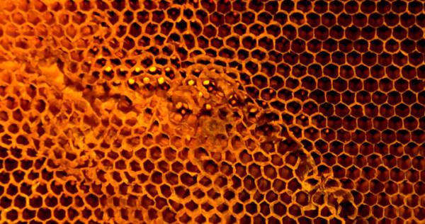 Building desire | Blog | Impact