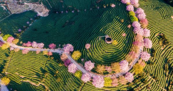 What will you do with an extra day? | Impact