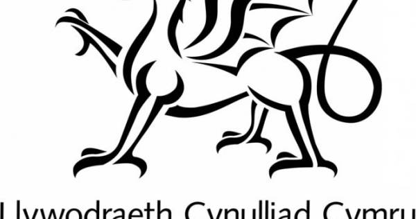 WAG Case Study | Impact International