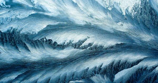 Accelerated Development Program | Impact