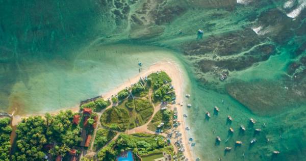 Emerging Talent Program | Impact