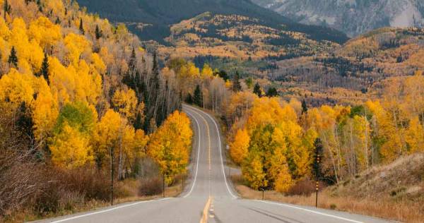 How do we connect in a meaningful way? | Impact